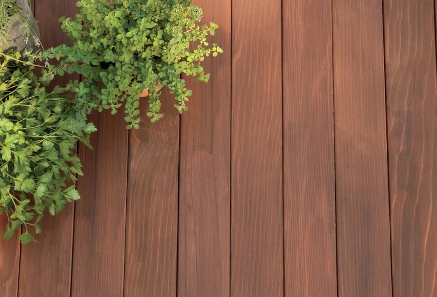 Using a Wood Wash Annually: Ricciardi Brothers' Guide to Preserving ...