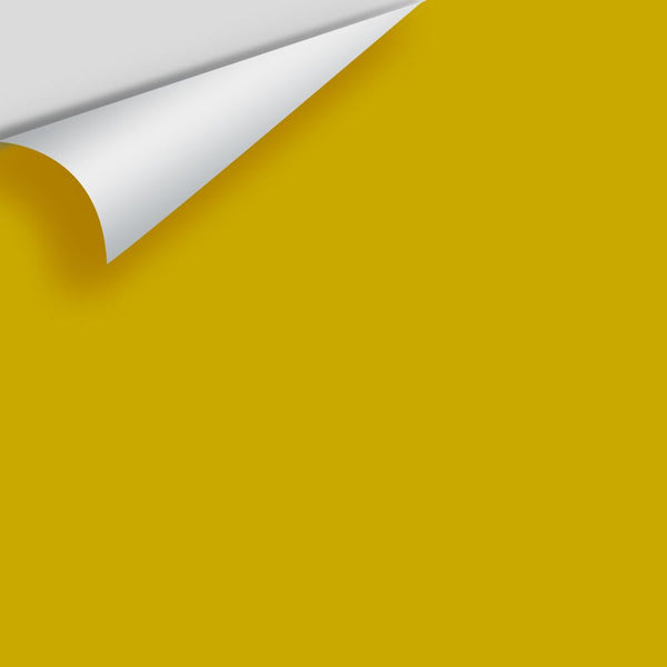 Chartreuse 2024-10 Peel & Stick Sample | Ricciardi BRothers - Ricciardi ...