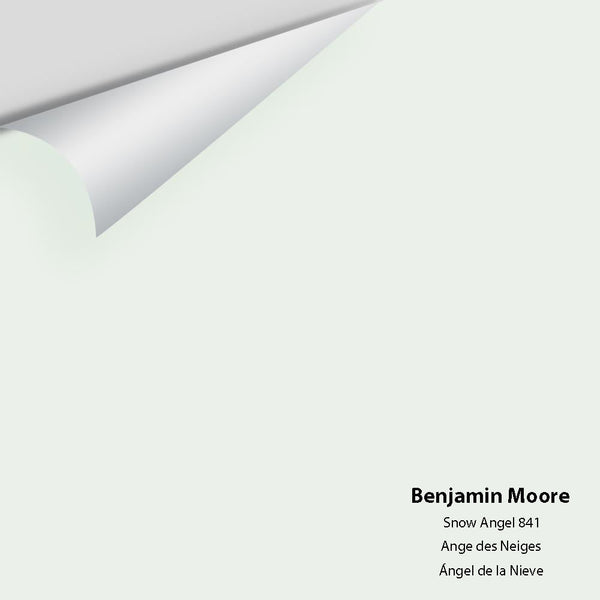 Snow Angel 841 Peel & Stick Sample | Ricciardi BRothers - Ricciardi ...