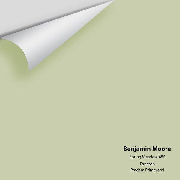 Spring Meadow 486 Peel & Stick Sample | Ricciardi BRothers - Ricciardi ...