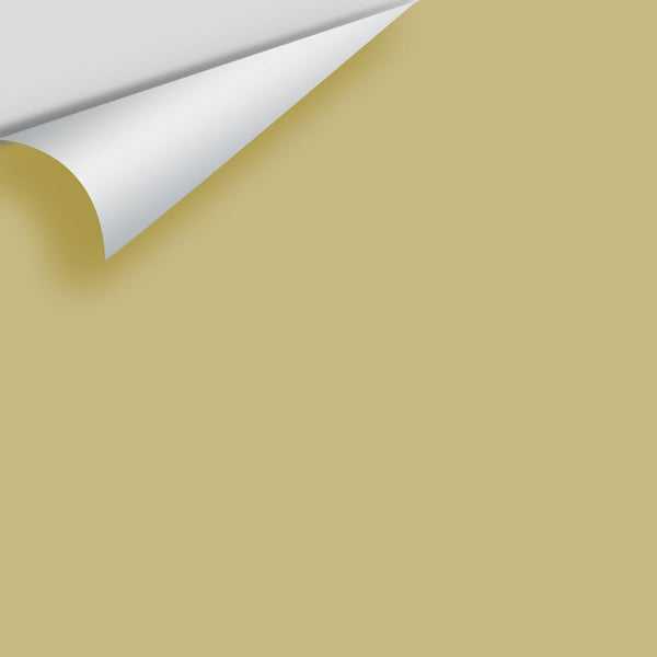 Timothy Straw 2149-40 Peel & Stick Sample | Ricciardi BRothers ...